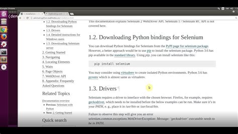 selenium with python demo youtube