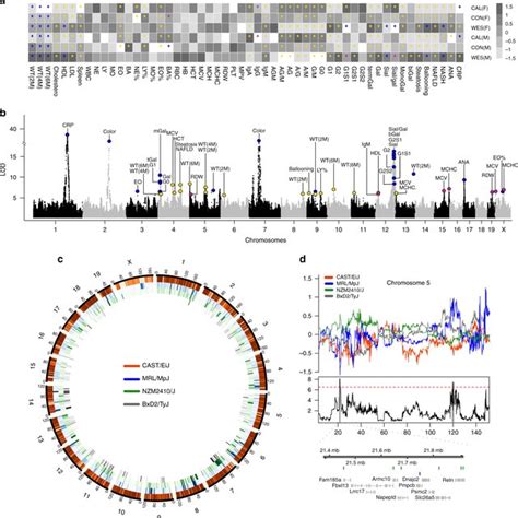Phenotyping Qtl Identification And Fine Mapping Of Dietary