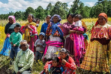 Etnias Indígenas ¿cuántas Hay En México A Tiempo Medio Digital