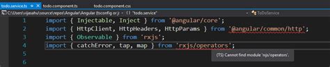 not taking reference from node modules while creating angular
