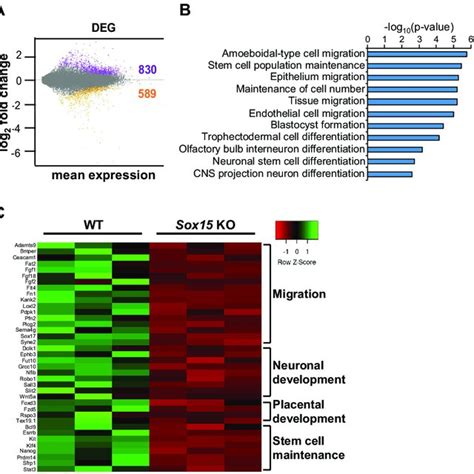 Gene Expression Profile Of Sox15 Knockout Escs A Rna Seq Analysis