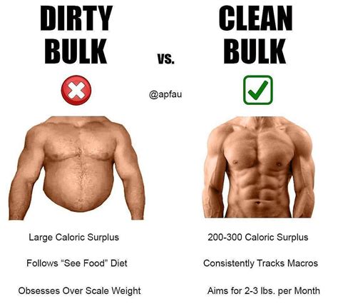 How To Lean Bulk A Comprehensive Guide Ihsanpedia