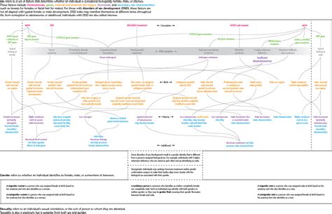 visualizing sex as a spectrum scientific american blog network