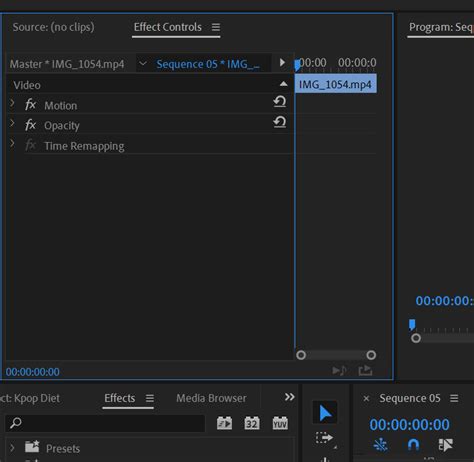 solved effect controls panel is missing effects adobe support