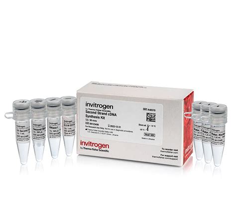 Second Strand Cdna Synthesis Kit