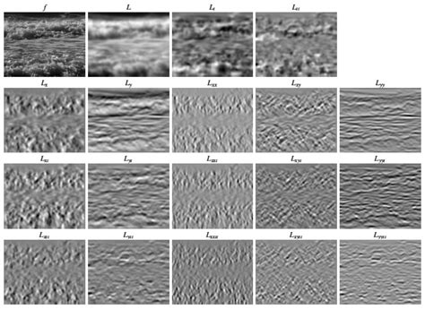 Spatio Temporal Receptive Field Responses Underlying The Strf N Jet