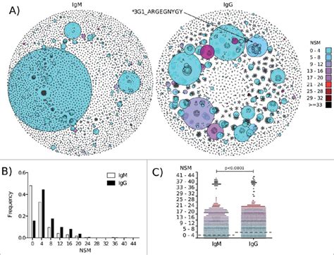 igraph network representation of the sampled antibody repertoire in