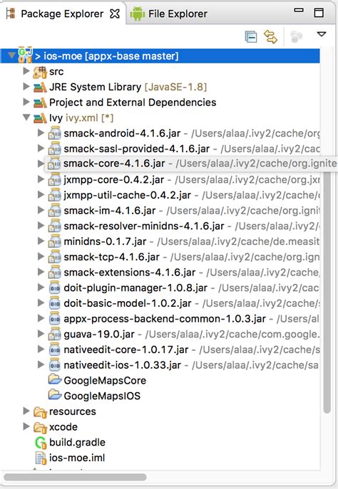 build system dependency management and ide integration
