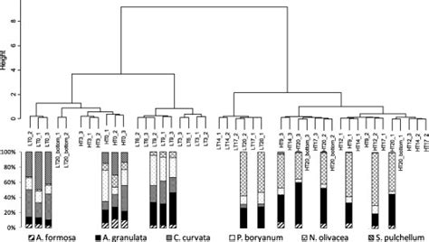 hierarchical clustering ward method on the distance