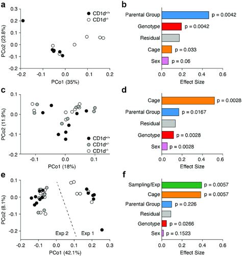 cd1d deficiency and loss of inkt cells does not alter microbiota