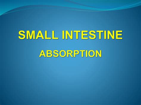 Small Intestine Absorption