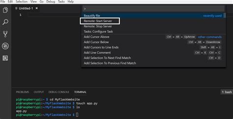 how to make your own python dev server with raspberry pi
