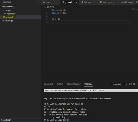 need help vscode not recognizing module and package import stuck for