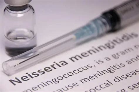 Adapting To Ciprofloxacin Resistant Neisseria Meningitidis With New