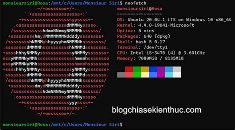 display system information in ascii art style