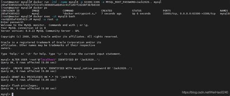 docker 安装 mysql8 0 protocol mismatch server version 11 client ver