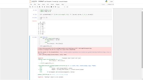 [code] filling data in pandas series with help of a function pandas