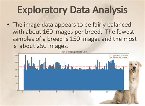 6 Interesting Data Science Project Ideas And Examples