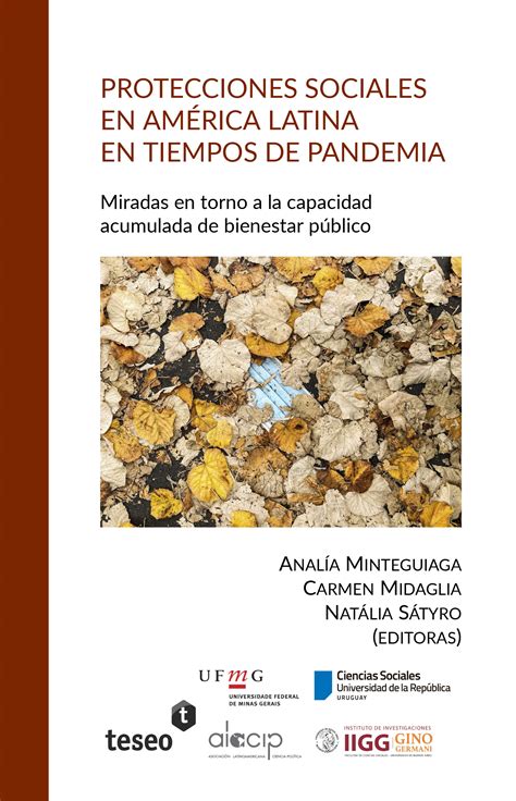 Protecciones Sociales En América Latina En Tiempos De Pandemia