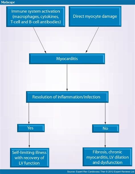 Endocarditis And Myocarditis Page 3