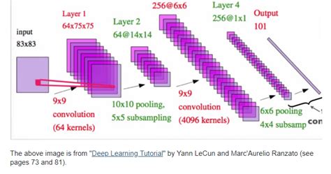 the optimal filter size for convolutional neural networks surfactants