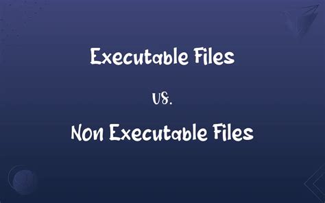 executable files vs non executable files what s the difference