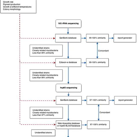 Ntm Identification By Partial Sequencing Of 16s Rrna Gene Download