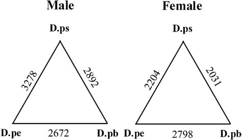Numbers Of Genes Differentially Expressed Between Species By Sex Under