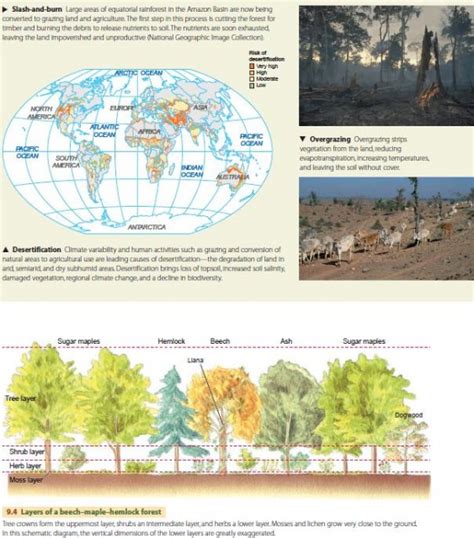 🔥 Two Types Of Vegetation 5 Major Types Of Vegetation In The World