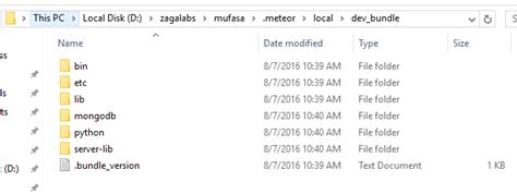 node js meteor npm install produces error eio i o error stack overflow