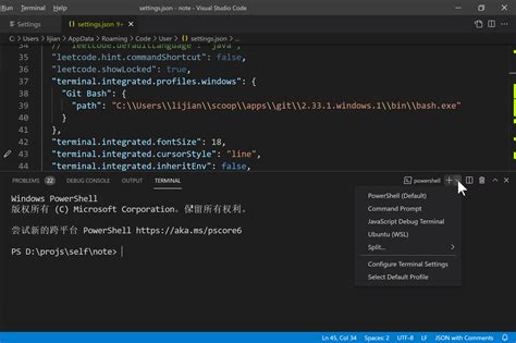 cannot choose git bash in integrated terminal · issue 135403
