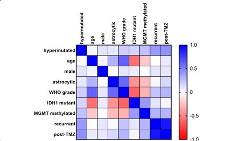 Correlation Matrix Heatmap Showing Spearman ρ Rho Correlation