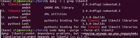 libxml2 dev depends libxml2 2 9 3 dfsg1 1 but 2 9 3 dfsg1