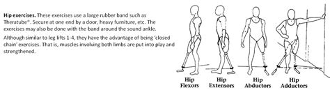 Lower Extremity Amputee Exercise Steinmann Prosthetics And Orthotics