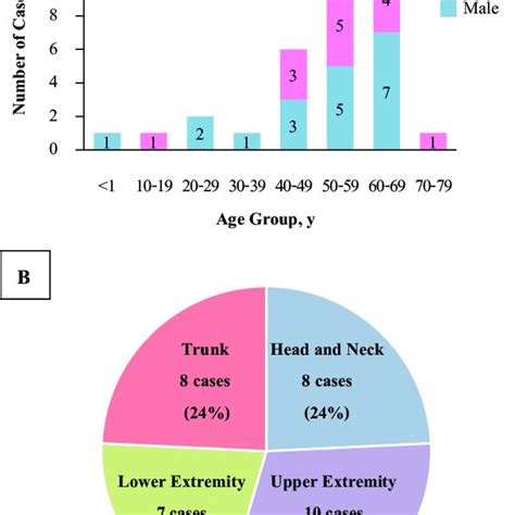 Age With Sex Distribution A And Anatomical Location B Of 33 Cases
