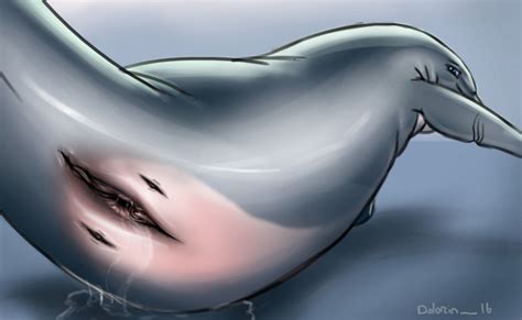 Rule 34 2016 Anus Blue Eyes Cetacean Dolorcin Dolphin Female Feral