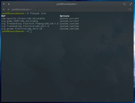 how to install and use flatpak on linux
