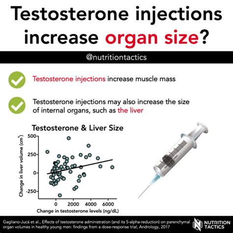 Testosterone Injections Increase Organ Size