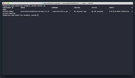 using selenium docker containers for end to end testing