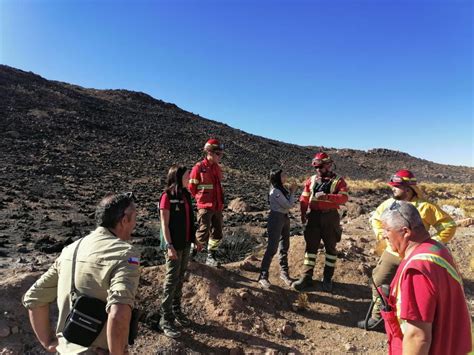 Incendio Forestal Consumió Más De 40 Hectáreas En Parque Nacional
