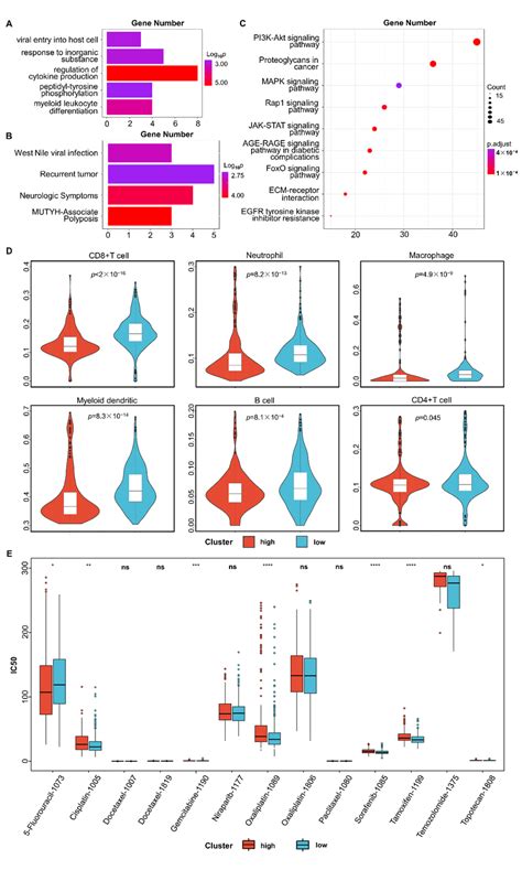 Functional Enrichment And Immune Infiltration Analysis A Significant