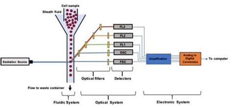 Cell Characterization Using Microfluidic Flow Cytometry Ufluidix