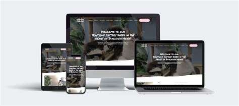 Kitty Kat Sleepover Digital Marketing Agency Marketing Leap