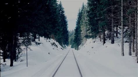 davinci resolve macros transitions motion array
