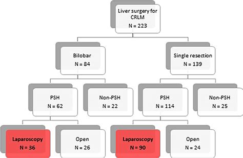 Flowchart Of Inclusion Crlm Colorectal Liver Metastases Psh