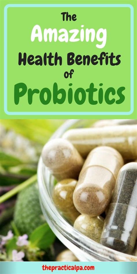The Amazing Benefits Of Probiotics Probiotic Benefits Probiotics