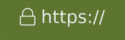 4 marvelous ways to fix mixed content wordpress pfo
