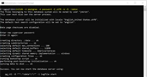 consulta Única how to initialize postgresql binaries on windows