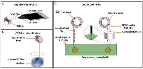 Bioengineering Free Full Text Evaluation Of Polymer Coated Carbon