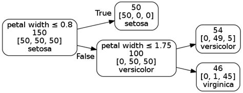 decision trees on the iris data set · human learning machine learning